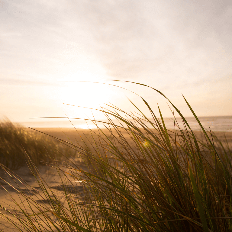 Arthritis Travel Insurance Cover | Get Going Travel Insurance